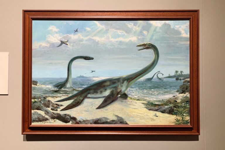 【场馆报道】恐龙是在艺术中而不是在化石中追踪的。 | Art & Culture Information in Taito City