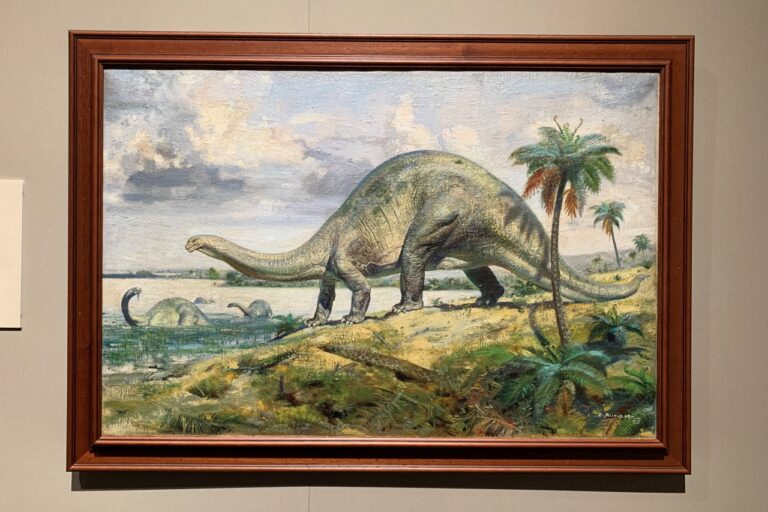 【场馆报道】恐龙是在艺术中而不是在化石中追踪的。 | Art & Culture Information in Taito City